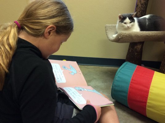 QUINCY PUBLIC LIBRARY - Updated December 2025 - 34 Photos - 526 Jersey ...