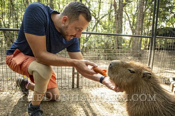 THE DUNHAM FARM - Updated June 2024 - 35 Photos - 3501 FM1187, Burleson ...