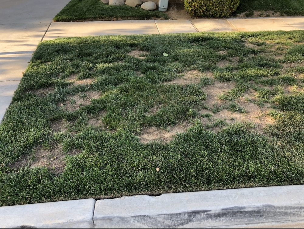 GOODBYE RODENT - 20 Photos - Simi Valley, California - Pest Control ...