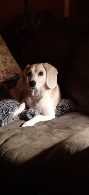 THE FARM STORE - Updated September 2025 - 13 Reviews - 561 Main St ...