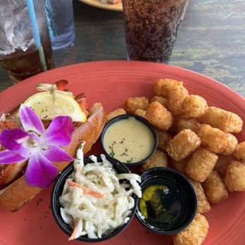 BAR FLY SAFETY HARBOR - Updated July 2024 - 817 Photos & 756 Reviews ...