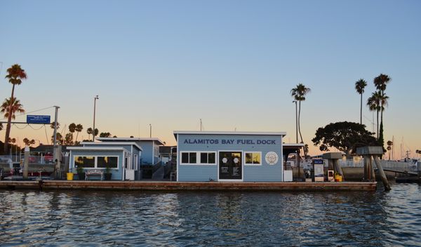 ALAMITOS BAY MARINE FUEL DOCKS - Updated June 2026 - 80 Photos - 227 N ...