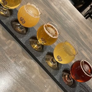 DANICO BREWING COMPANY - 23 Photos - 18490 E 66th Ave, Denver, CO - Yelp