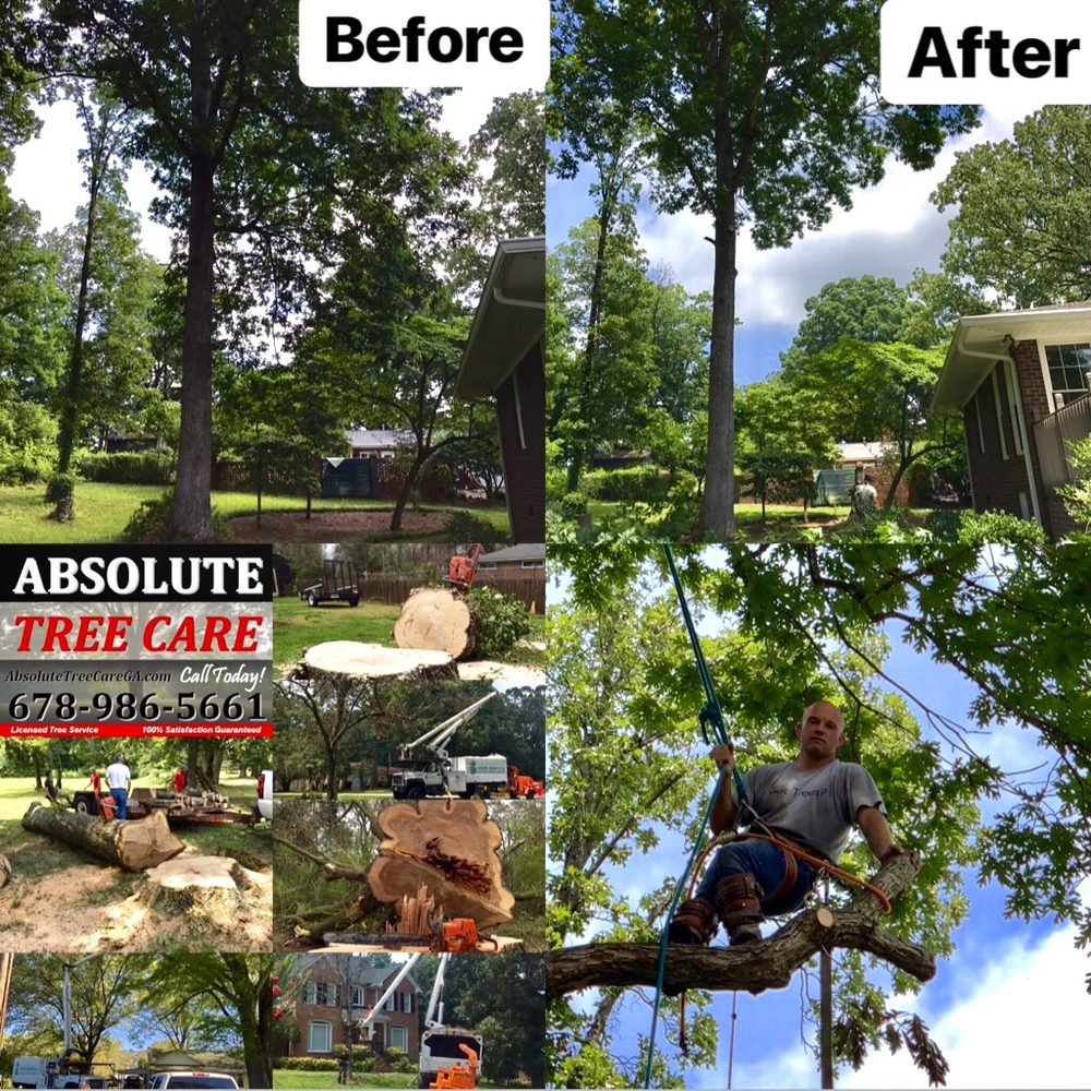 ABSOLUTE TREE CARE - Updated November 2024 - 517 Owens Rd SE, Calhoun ...