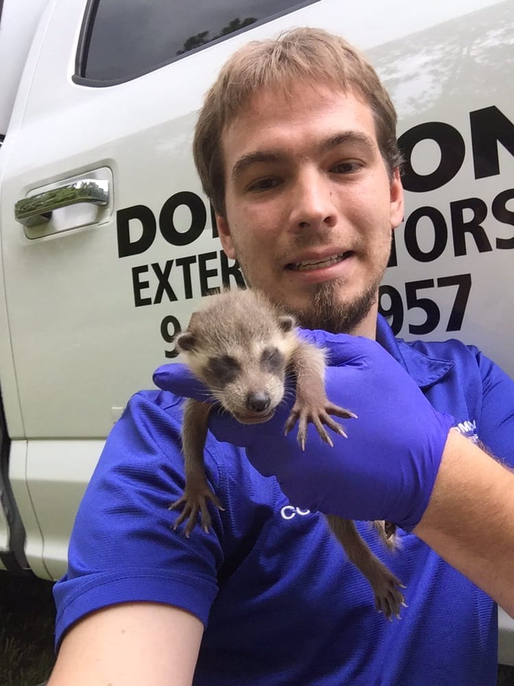 DOMINION EXTERMINATORS - Updated July 2025 - Sarasota, Florida - Pest ...