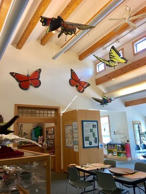 EMMA TREADWELL THACHER NATURE CENTER - 87 Nature Center Way ...