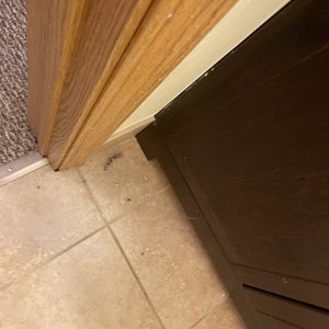 ALIGHT STATE COLLEGE - Updated August 2025 - 23 Photos & 57 Reviews ...