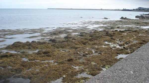 SEAPOINT - Updated October 2025 - 11 Photos - Monkstown, Monkstown, Co ...