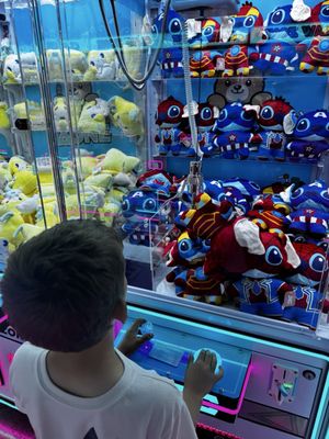 CLAW ZONE - Updated September 2025 - 19 Photos - 5629 Outer Lp ...