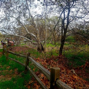 SYCAMORE GROVE PARK - Updated September 2025 - 378 Photos & 88 Reviews ...