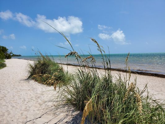 COCO PLUM BEACH - Updated March 2025 - 44 Photos & 20 Reviews - 1690 ...
