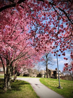 EASTERN UNIVERSITY - Updated January 2026 - 32 Photos & 13 Reviews ...