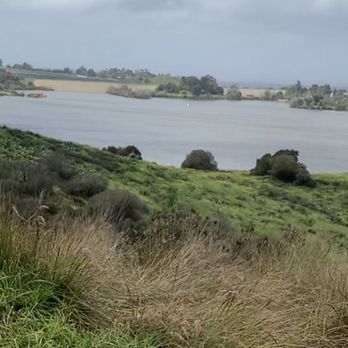 BONELLI BLUFFS RV RESORT & CAMPGROUND - Updated April 2024 - 529 Photos ...