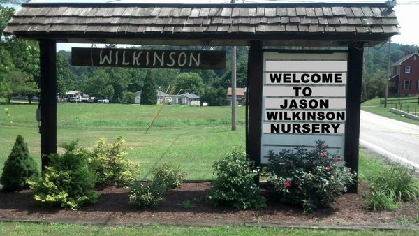 JASON WILKINSON NURSERY - Updated August 2025 - 115 Wilky Ln Rt 819 ...