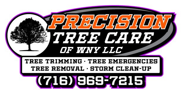 PRECISION TREE CARE OF WNY - Updated July 2025 - 1879 New York Ave ...