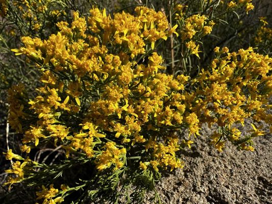PALO DURO CANYON STATE PARK - Updated January 2026 - 911 Photos & 227 ...