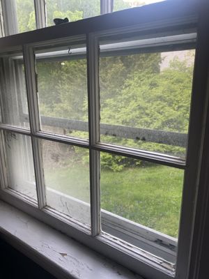 SOLO GLASS - Updated January 2026 - 16 Photos & 113 Verified Reviews ...