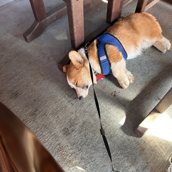 URBAN GERMAN WURSTHAUS - Updated February 2025 - 204 Photos & 146 ...