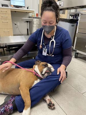CEDAR VETERINARY HOSPITAL - Updated April 2025 - 174 Photos & 240 ...