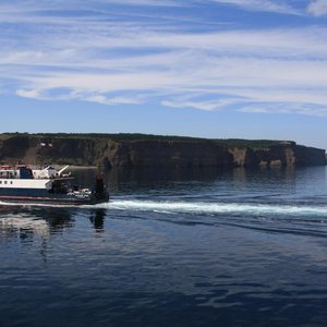 NEWFOUND CABS - St John's, Newfoundland and Labrador - Taxis - Phone ...