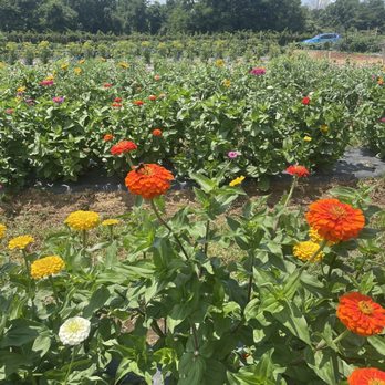 BUTLER’S ORCHARD - Updated October 2024 - 718 Photos & 397 Reviews ...