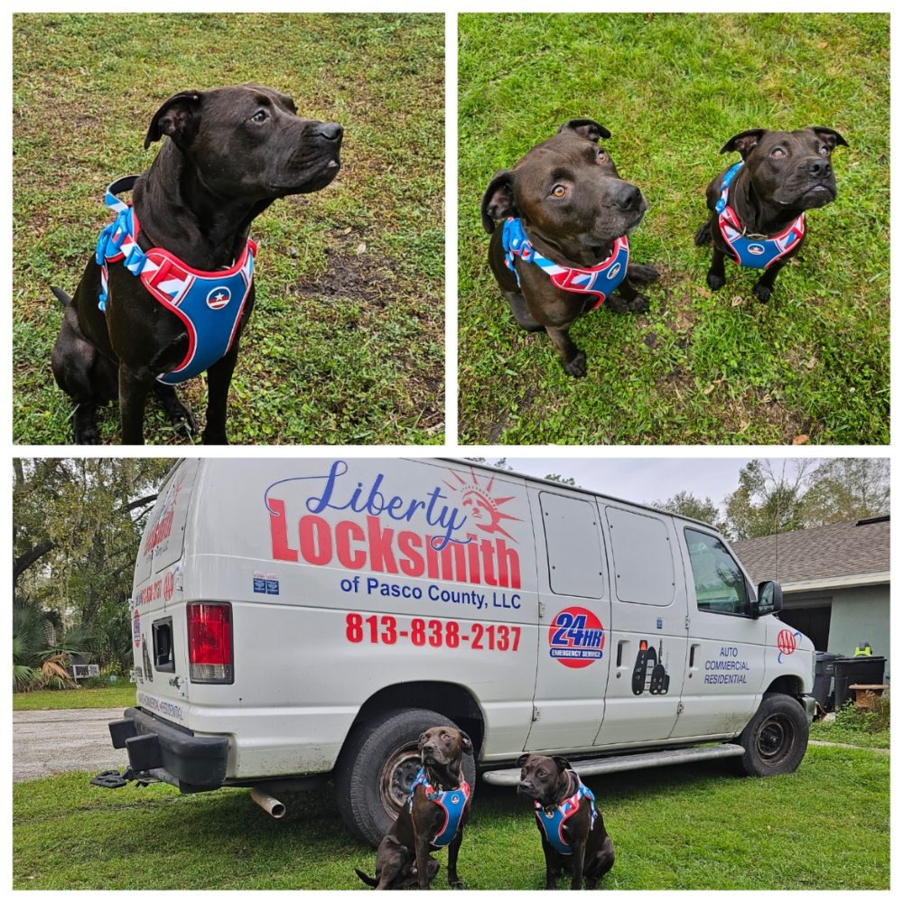 LIBERTY LOCKSMITH OF PASCO COUNTY - Updated October 2025 - 21 Photos ...