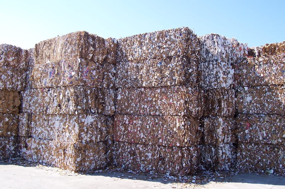 WESTERN PACIFIC PULP & PAPER - Updated December 2025 - 6587 Smith Ave ...