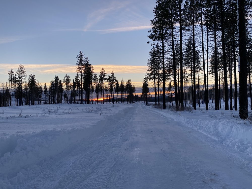 STUMPY MEADOWS - Updated February 2025 - 102 Photos & 53 Reviews ...