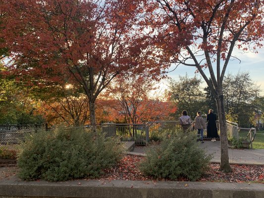 ROGERS PLAYGROUND - Updated April 2025 - 15 Photos - 2516 Eastlake Ave ...