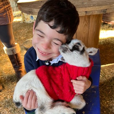 ROSE BRIDGE FARM & SANCTUARY - Updated September 2024 - 195 Photos & 78 ...