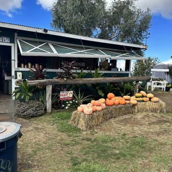 KULA COUNTRY FARMS - Updated June 2024 - 909 Photos & 120 Reviews ...