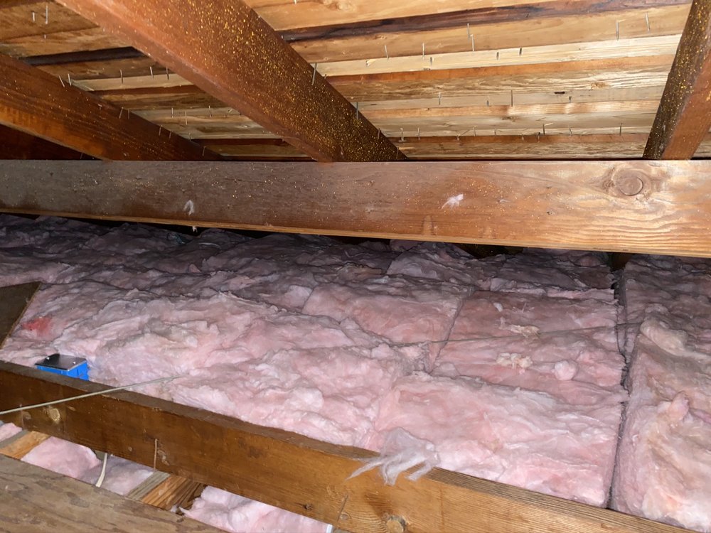 HONEST RODENT PROOFING - 53 Photos & 176 Reviews - Pest Control - 2872 ...