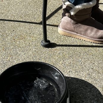 PLUM DELICIOUS FAMILY RESTAURANT - Updated November 2024 - 165 Photos ...