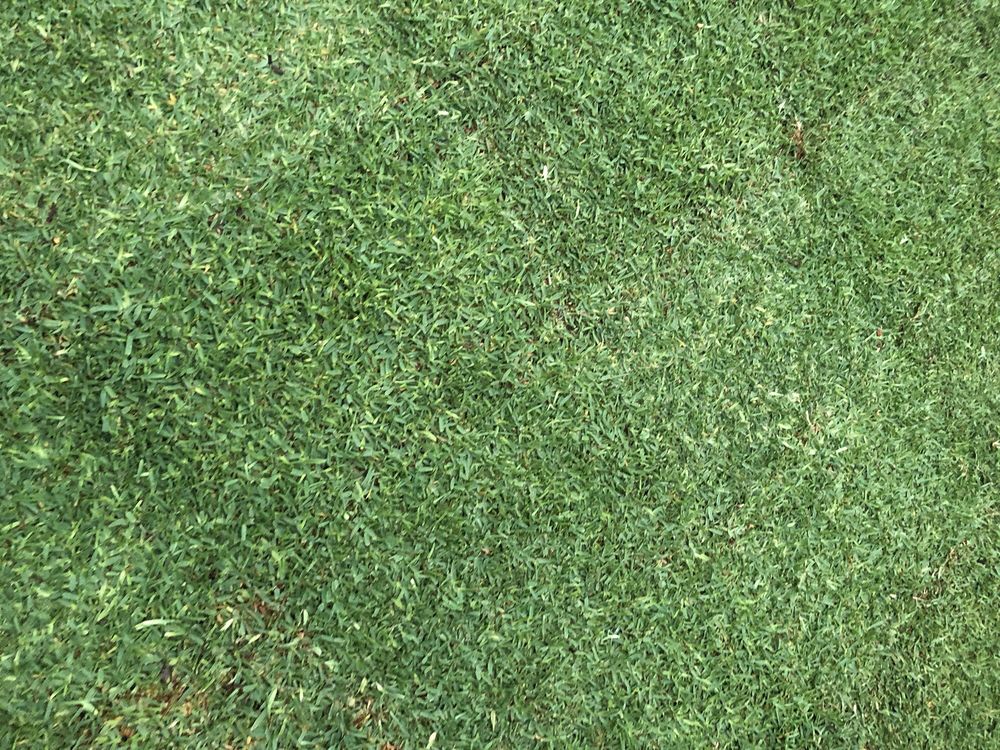 AMERICAN SOD FARMS - Updated January 2026 - 17 Photos & 22 Reviews ...