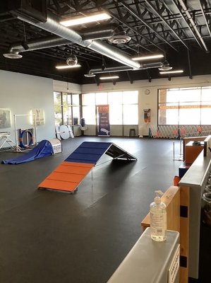 ZOOM ROOM DOG TRAINING - Updated August 2024 - 47 Photos & 32 Reviews ...