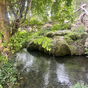 CARLITO SPRINGS - Updated December 2025 - 134 Photos & 29 Reviews - 82 ...