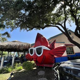 CHUY’S - Updated July 2025 - 563 Photos & 531 Reviews - 10520 N Lamar ...