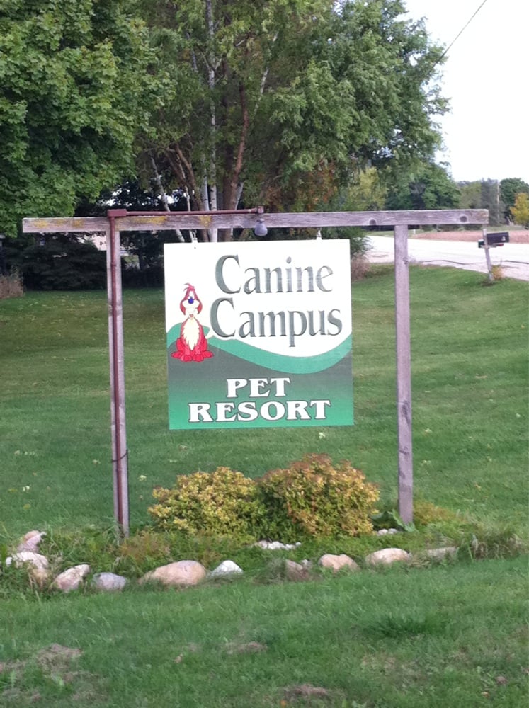 CANINE CAMPUS PET RESORT - Updated January 2026 - 38322 Delafield Rd ...