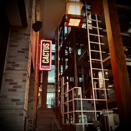 CACTUS RESTAURANTS - Updated December 2025 - 1444 Photos & 1263 Reviews ...