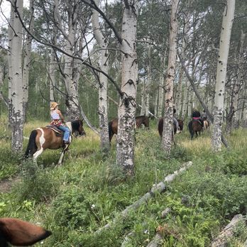 RUSTY SPURR RANCH - Updated May 2025 - 197 Photos & 63 Reviews - 387 ...