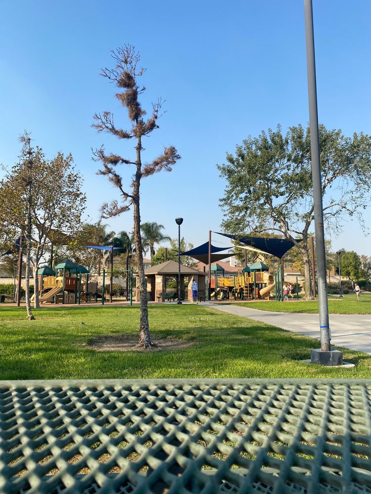 ORCHARD PARK - 16 Photos - 5900 Festival Way, Eastvale, California ...