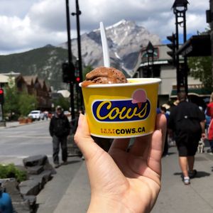 COWS - 213 Photos & 118 Reviews - Ice Cream & Frozen Yogurt - 138 Banff ...
