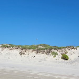 WHITECAP BEACH - 141 Photos & 34 Reviews - 14618 S Padre Island Dr ...