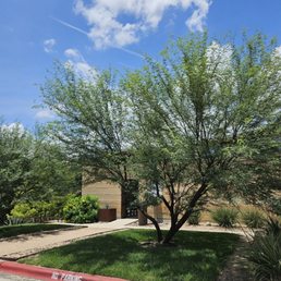 ENCANTADA COCINA & CANTINA - Updated January 2026 - 105 Photos & 78 ...