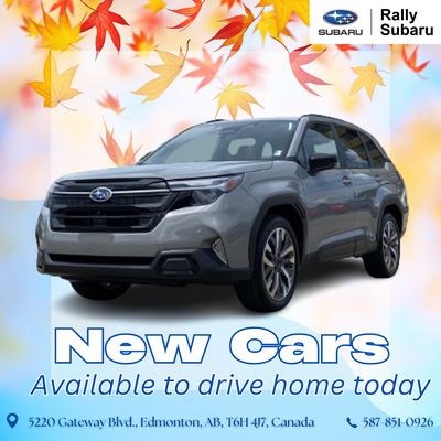 RALLY SUBARU - Updated January 2026 - 27 Photos & 23 Reviews - 5220 ...