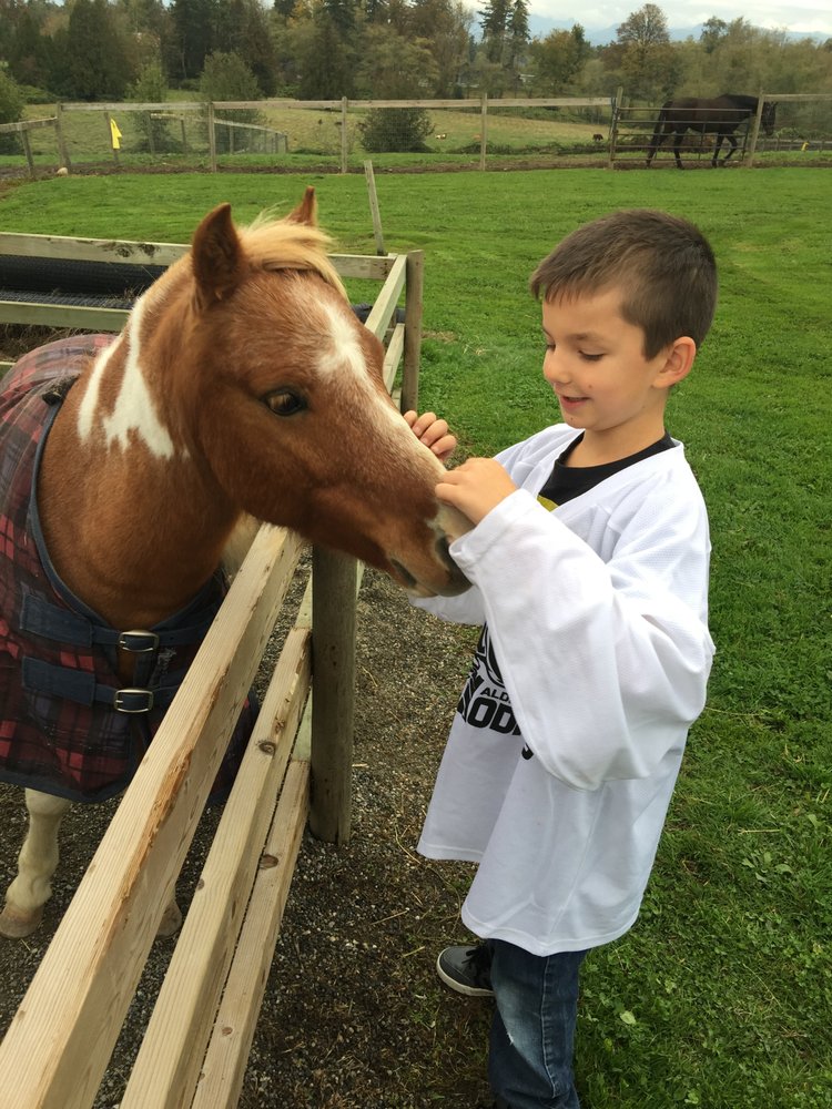 WINDSOR STABLES - Updated September 2025 - 25241 Fraser Hwy, Aldergrove ...