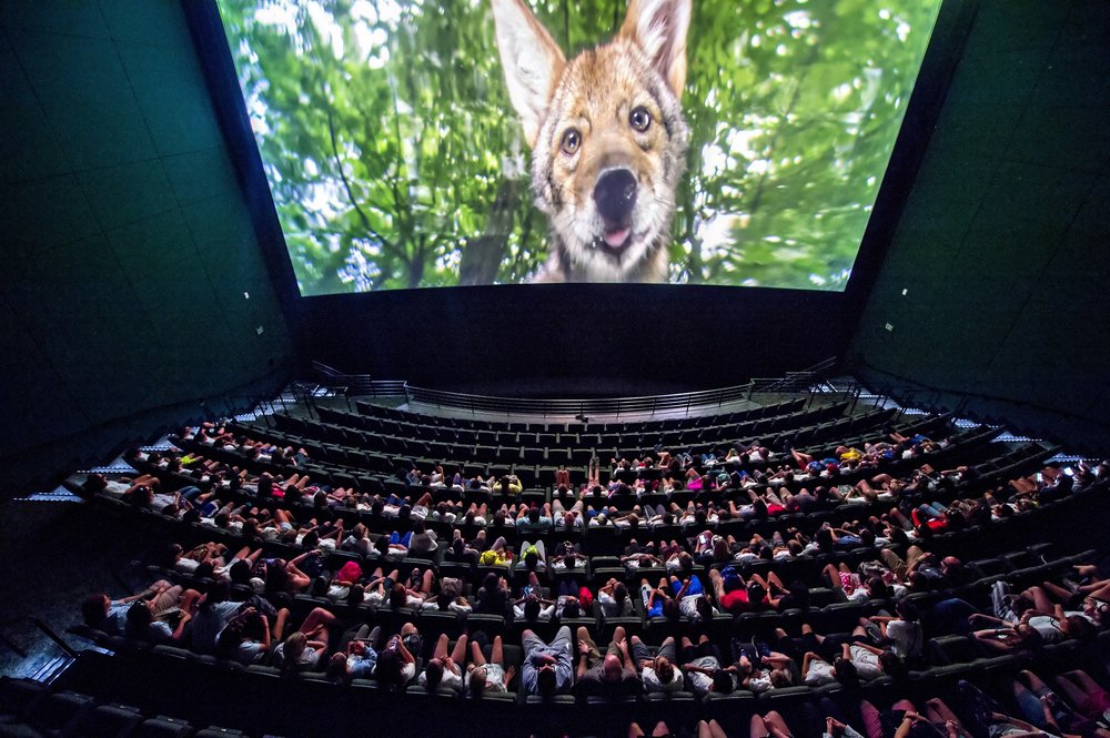 MARTINIS AND IMAX - 22 Photos & 35 Reviews - 767 Clifton Rd NE, Atlanta ...