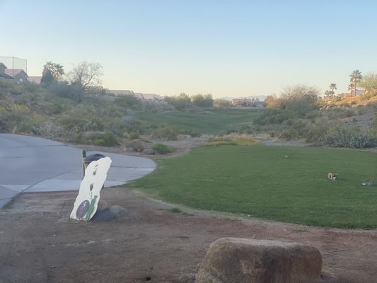 COYOTE LAKES GOLF CLUB - Updated March 2025 - 45 Photos & 59 Reviews ...