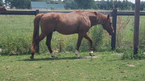 WILD SPIRIT RANCH - Updated July 2025 - Request Information ...