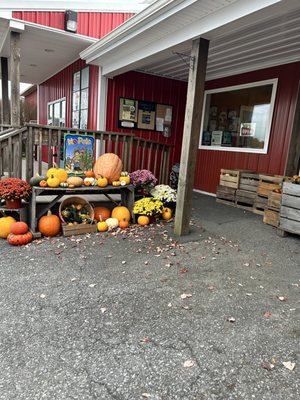 MT AIRY ORCHARDS - Updated November 2024 - 92 Photos & 34 Reviews - 522 ...